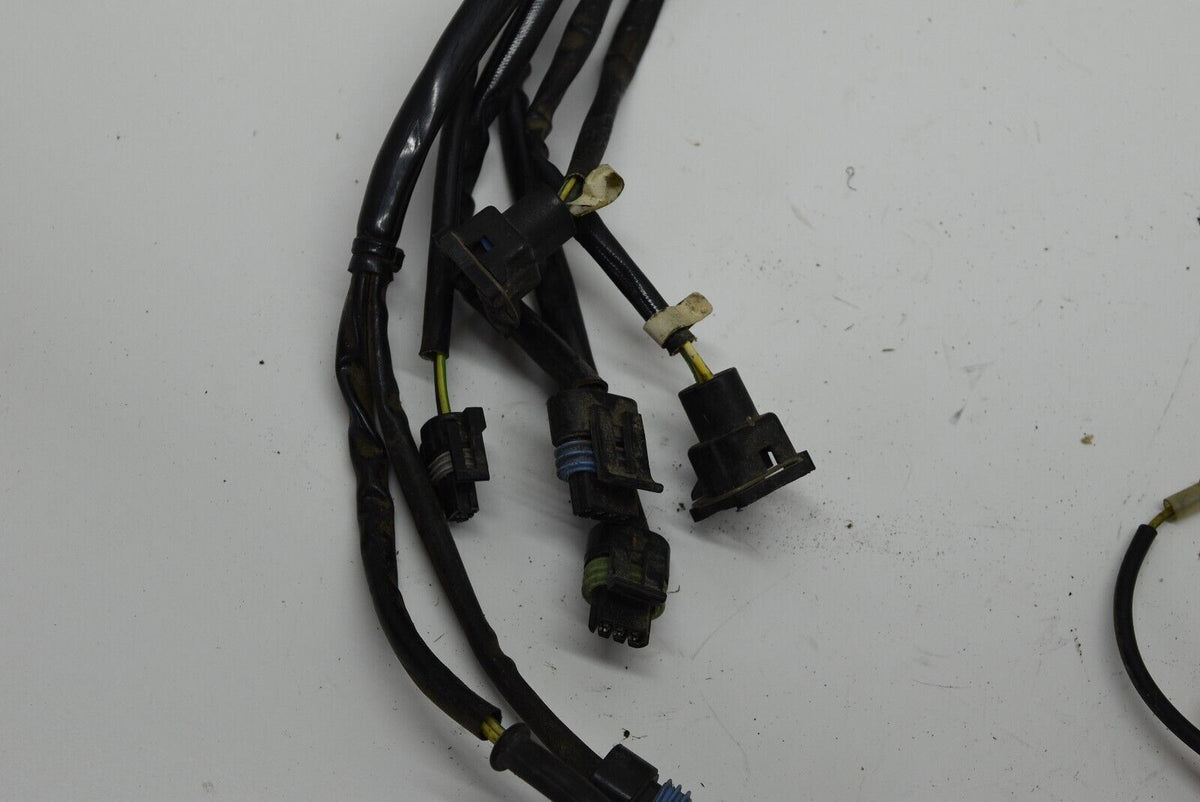 1996 Harley Magneti Marelli Throttle Body Injector Wiring Harness 7023 ...
