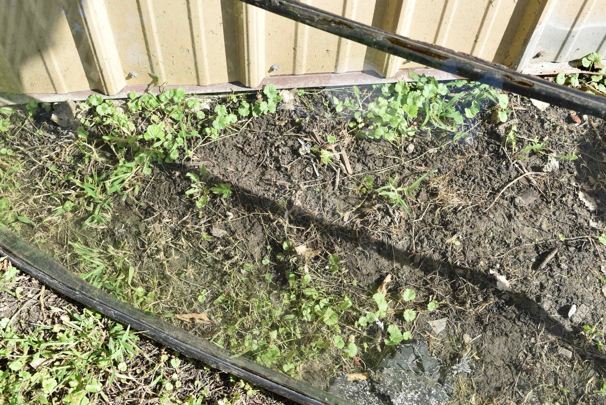 Original 1963 Pontiac Catalina Rear Windshield Glass Back Window ...