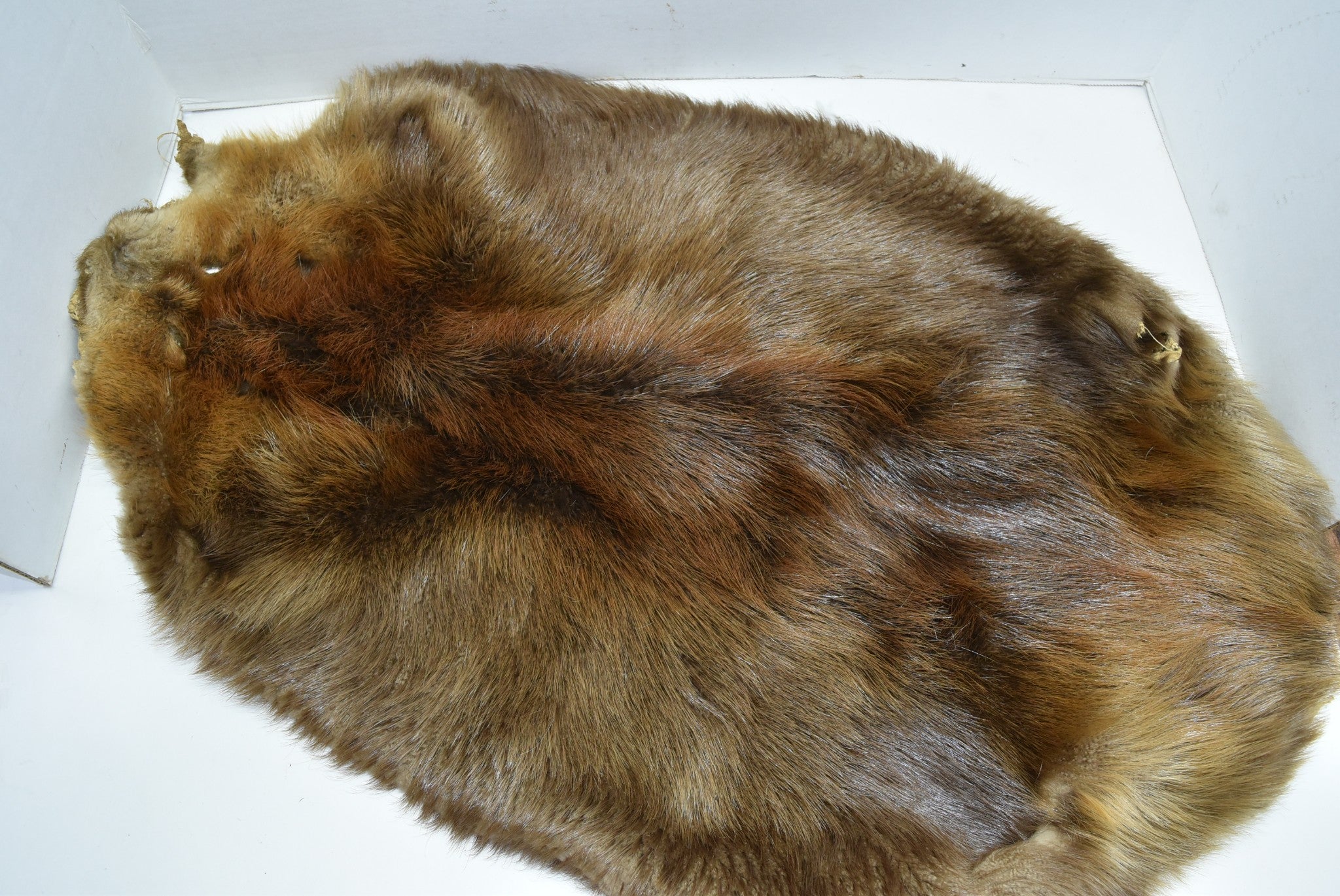 animal mixed pelt lot of 3 animal fur beaver maybe two rabbit– FatMan's ...