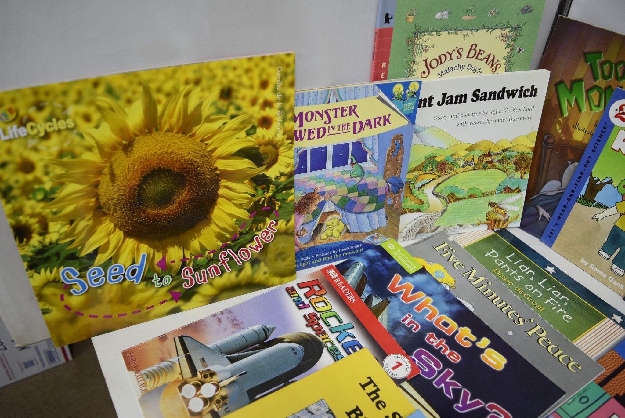 Lot of 25 Kids Educational Nature Paperback Books Learning Preschool D ...