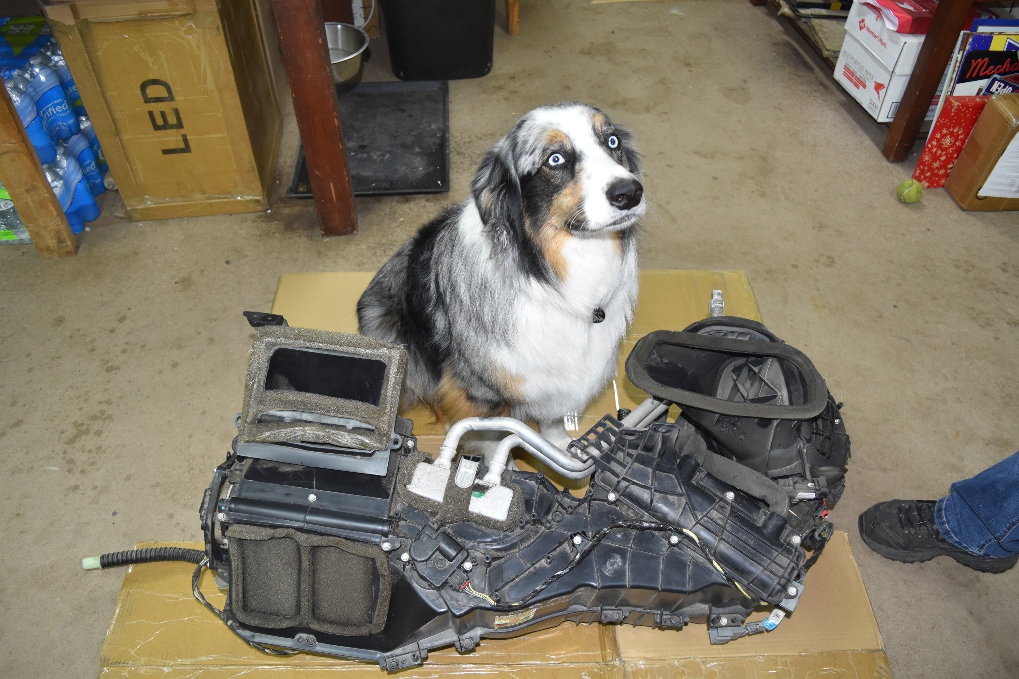 2008 2009 2010 FORD F250 DIESEL HEATER CORE EVAPORATOR BLOWER BOX AC 6 ...