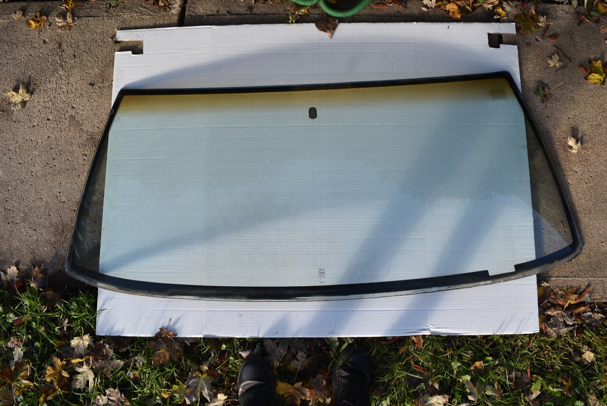 1985 Ford Mustang Convertible Fox Body Windshield Carlite W-946 85 Tin ...