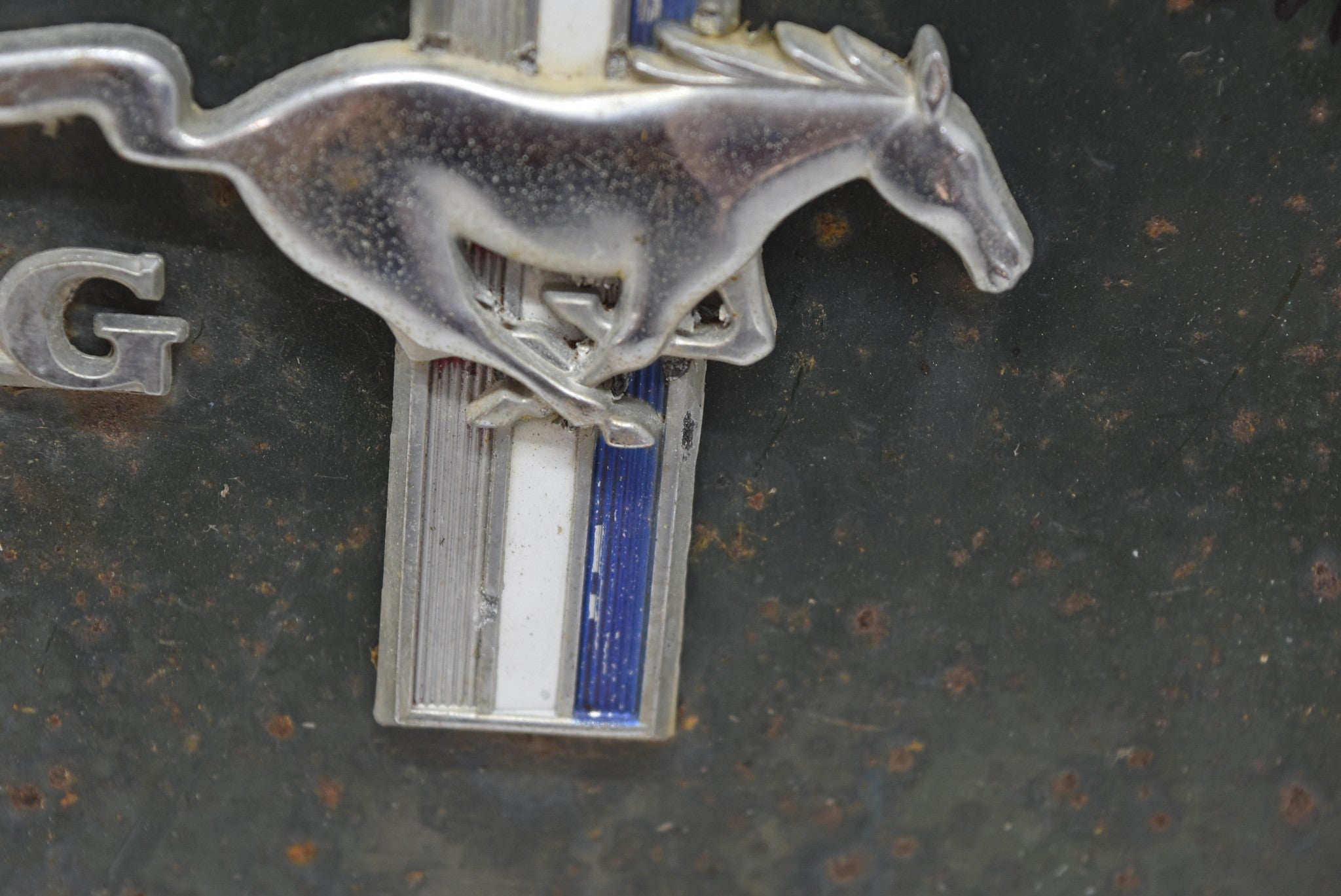 1965 65 FORD MUSTANG passenger right OEM PONY Fender Emblem Script ...