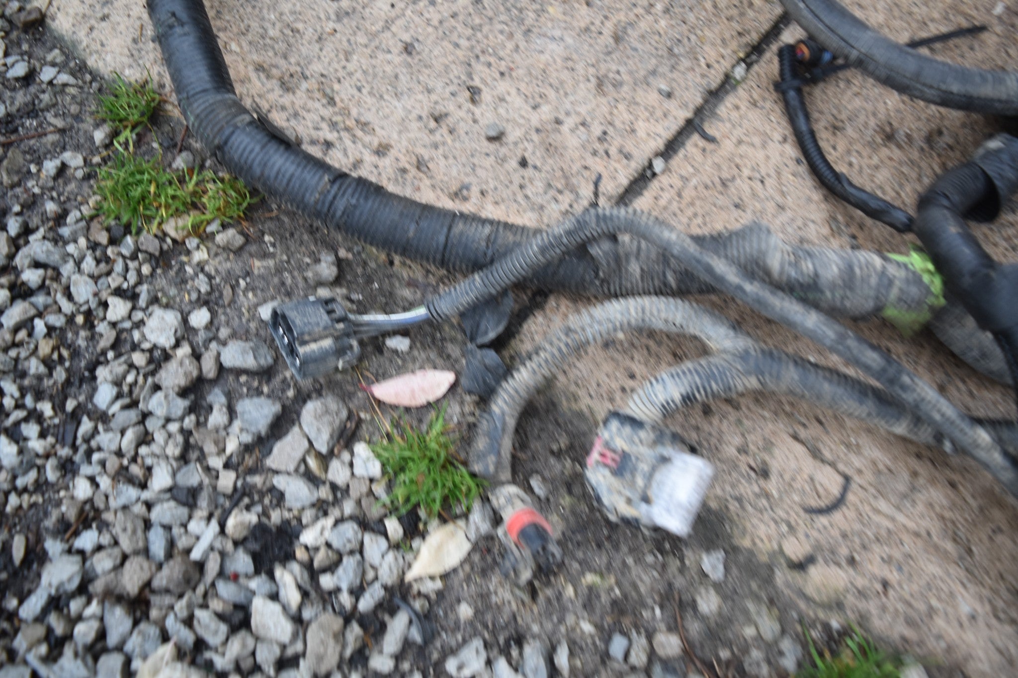 2002 CHEVROLET SILVERADO DURAMAX ENGINE BAY WIRING HARNESS COMPLETE 02 ...