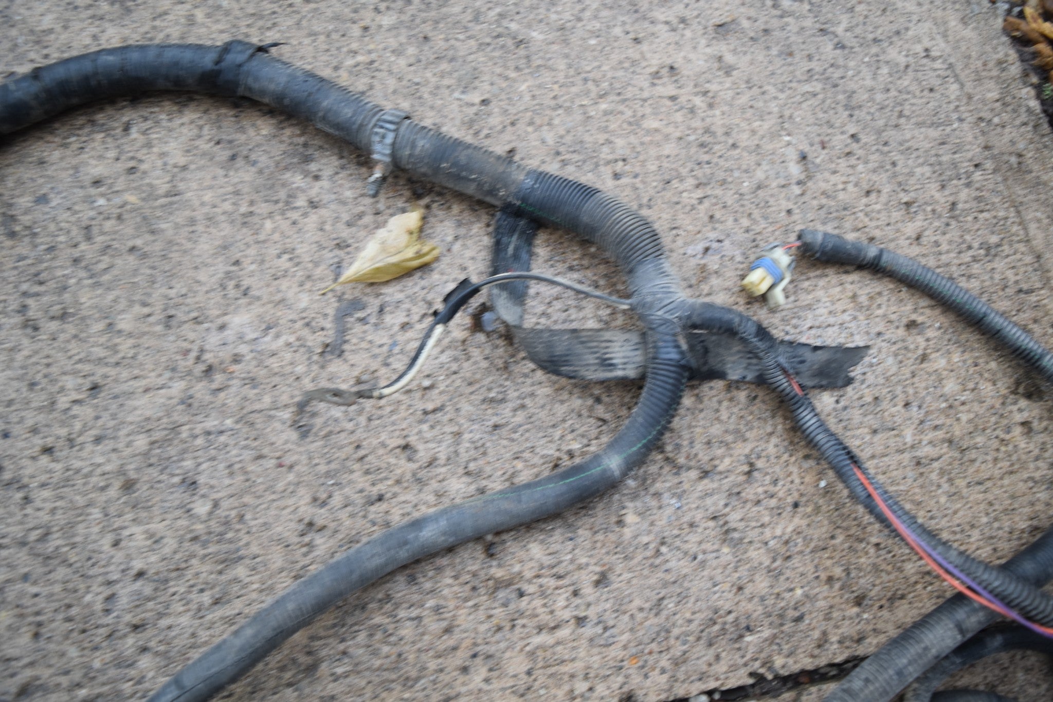 2002 CHEVROLET SILVERADO DURAMAX ENGINE BAY WIRING HARNESS COMPLETE 02 ...