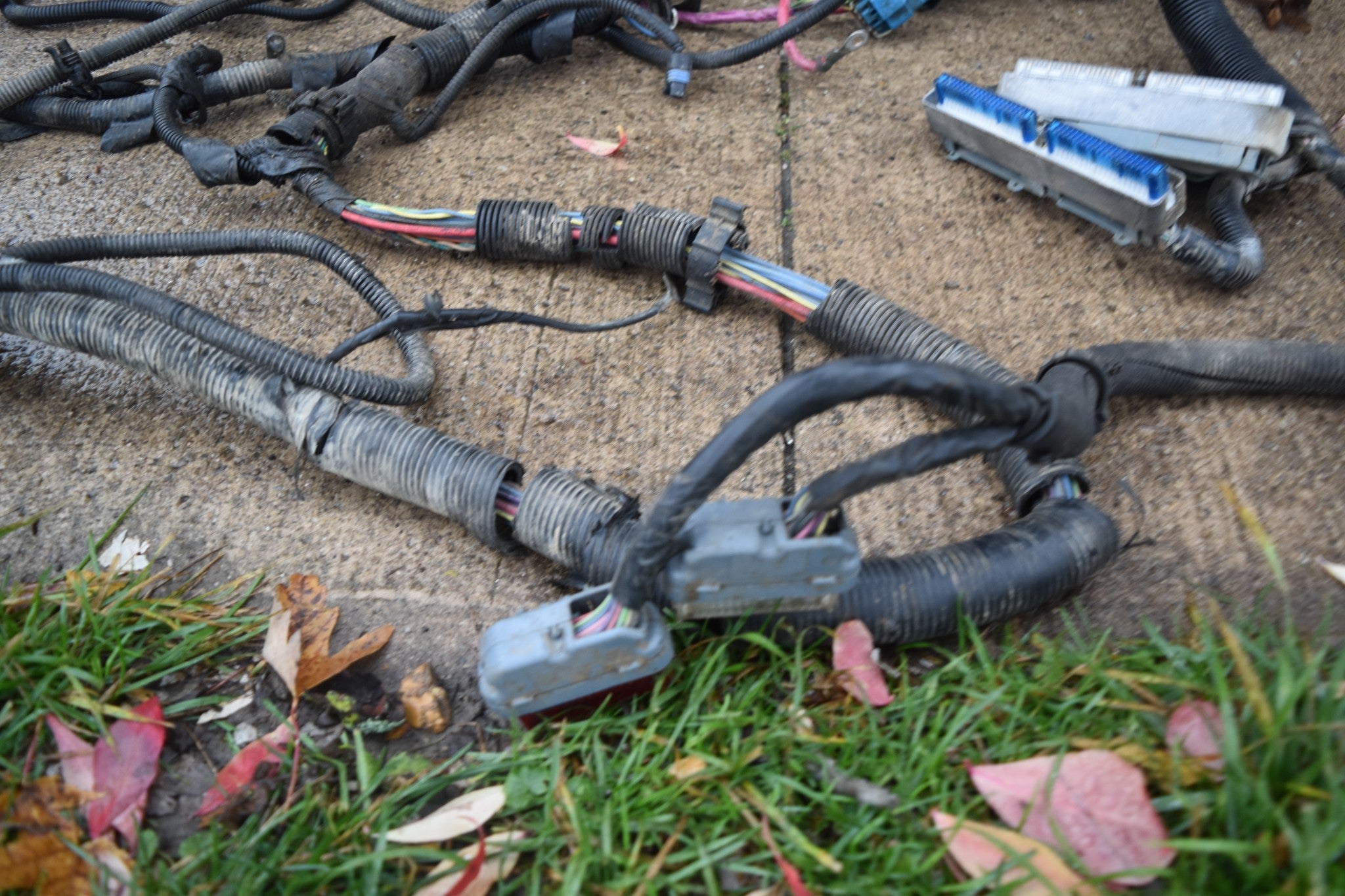 2002 CHEVROLET SILVERADO DURAMAX ENGINE BAY WIRING HARNESS COMPLETE 02 ...