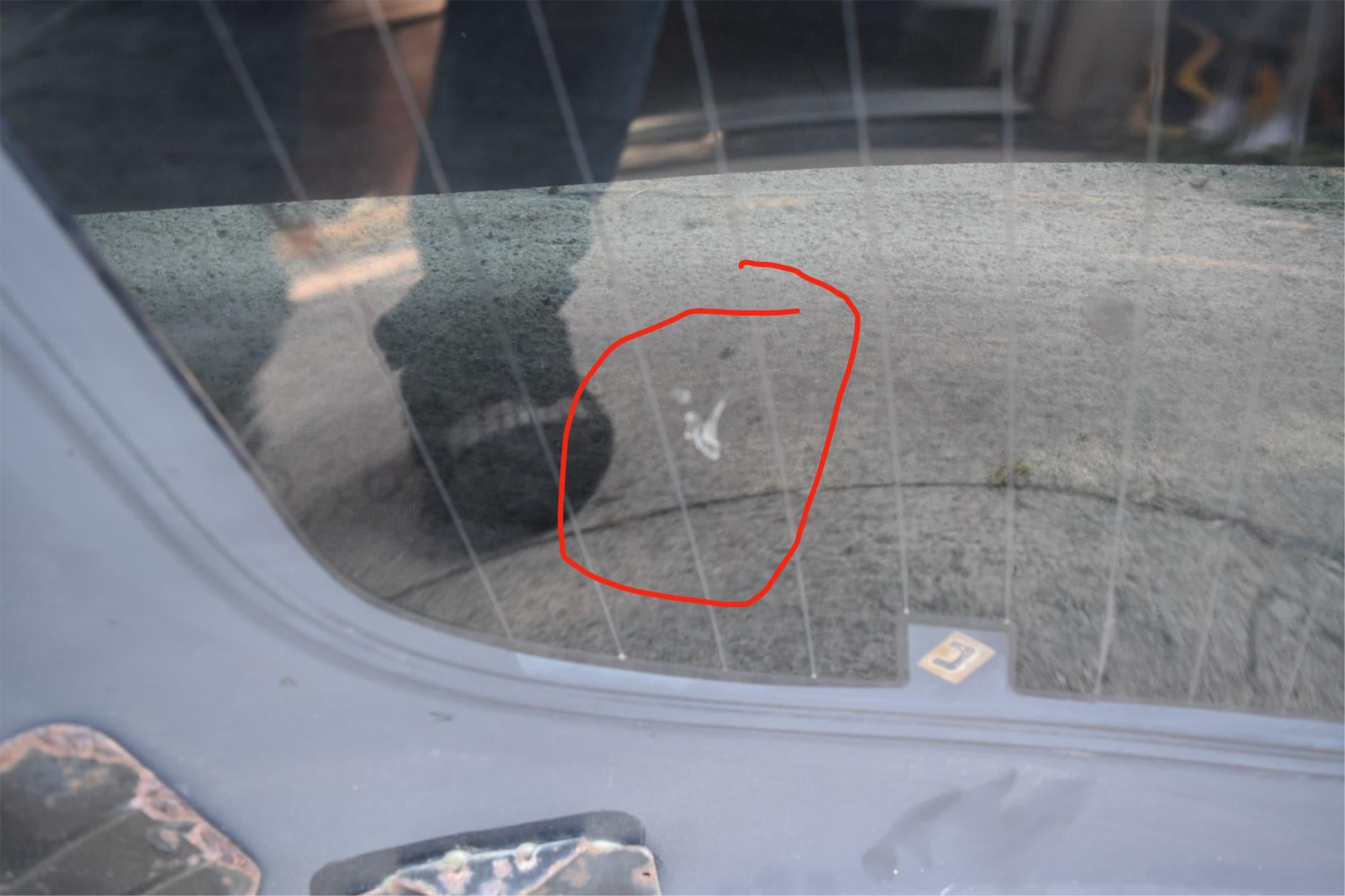 2002 - 2009 2007 TRAILBLAZER REAR HATCH PRIVACY GLASS WINDOW GMC ENVOY ...