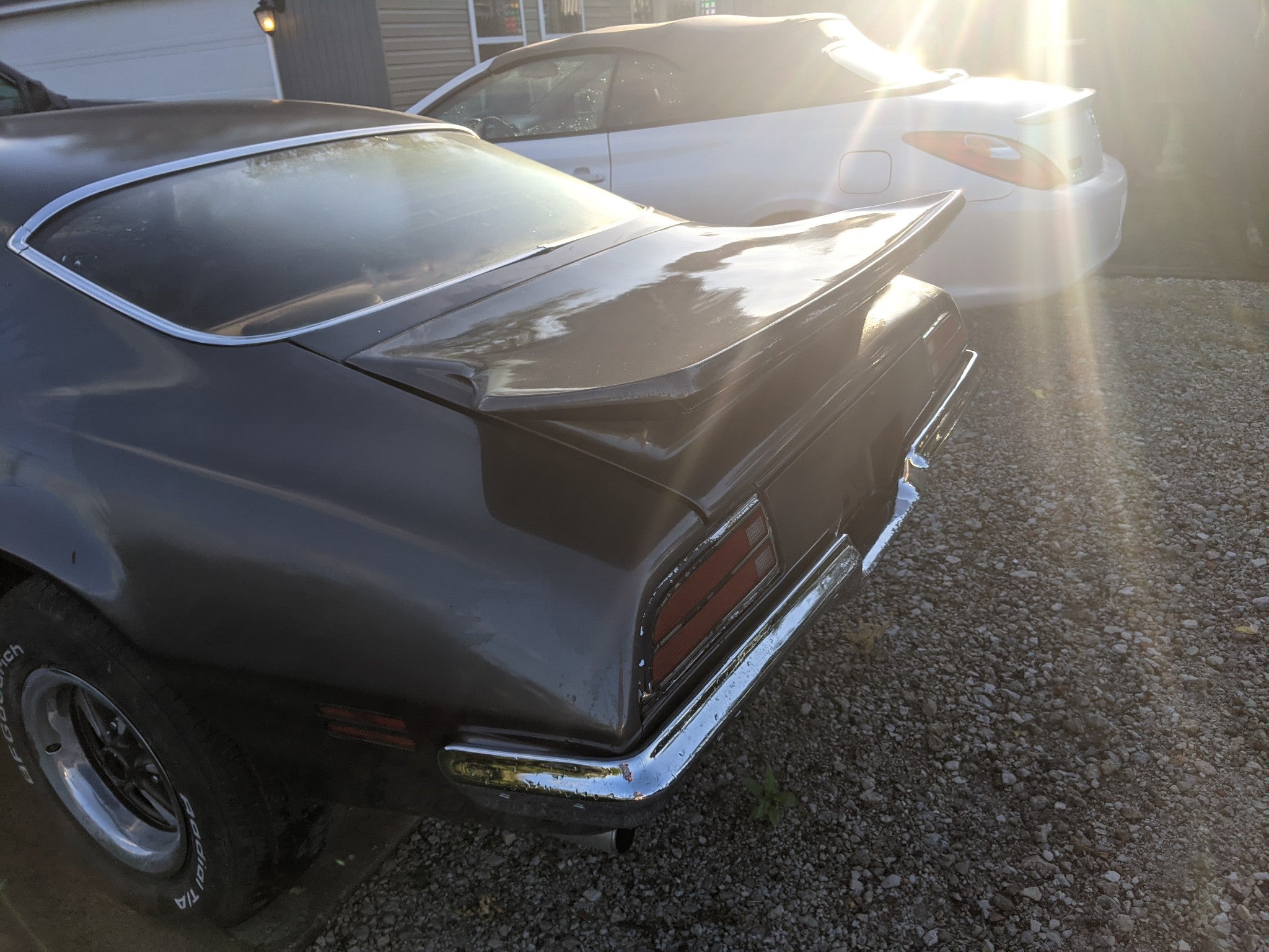 1970 1981 Firebird Camaro Whale Tail Deck Lid Spoiler Pontiac Chevrole ...