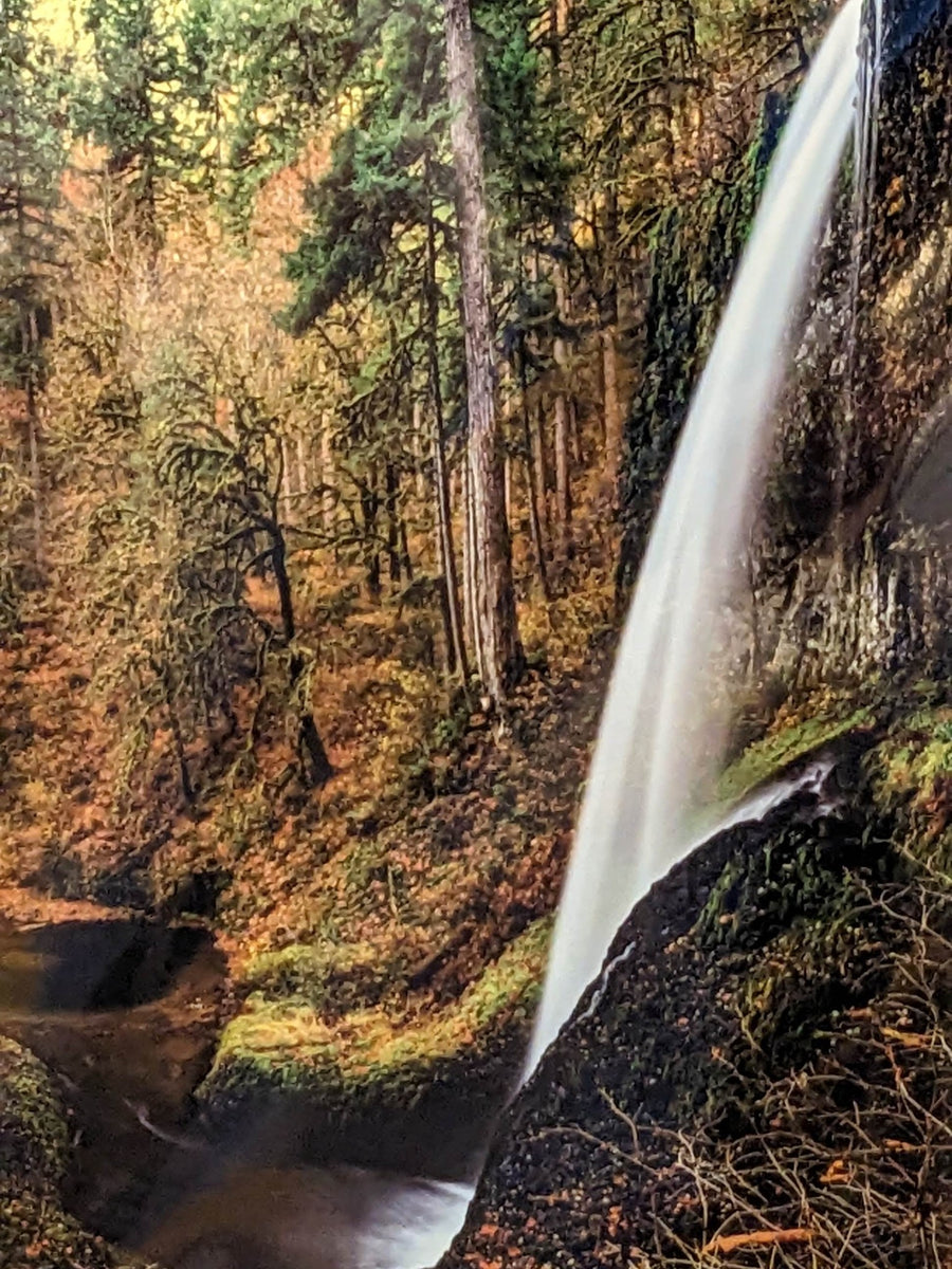 Photograph Silver Falls Oregon Waterfalls Forest Scenic 12x16 matted A ...