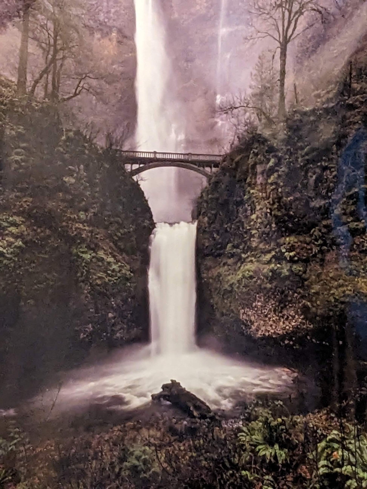 Photograph Multnomah Falls Oregon Waterfalls Bridge Scenic 12x16 matte ...